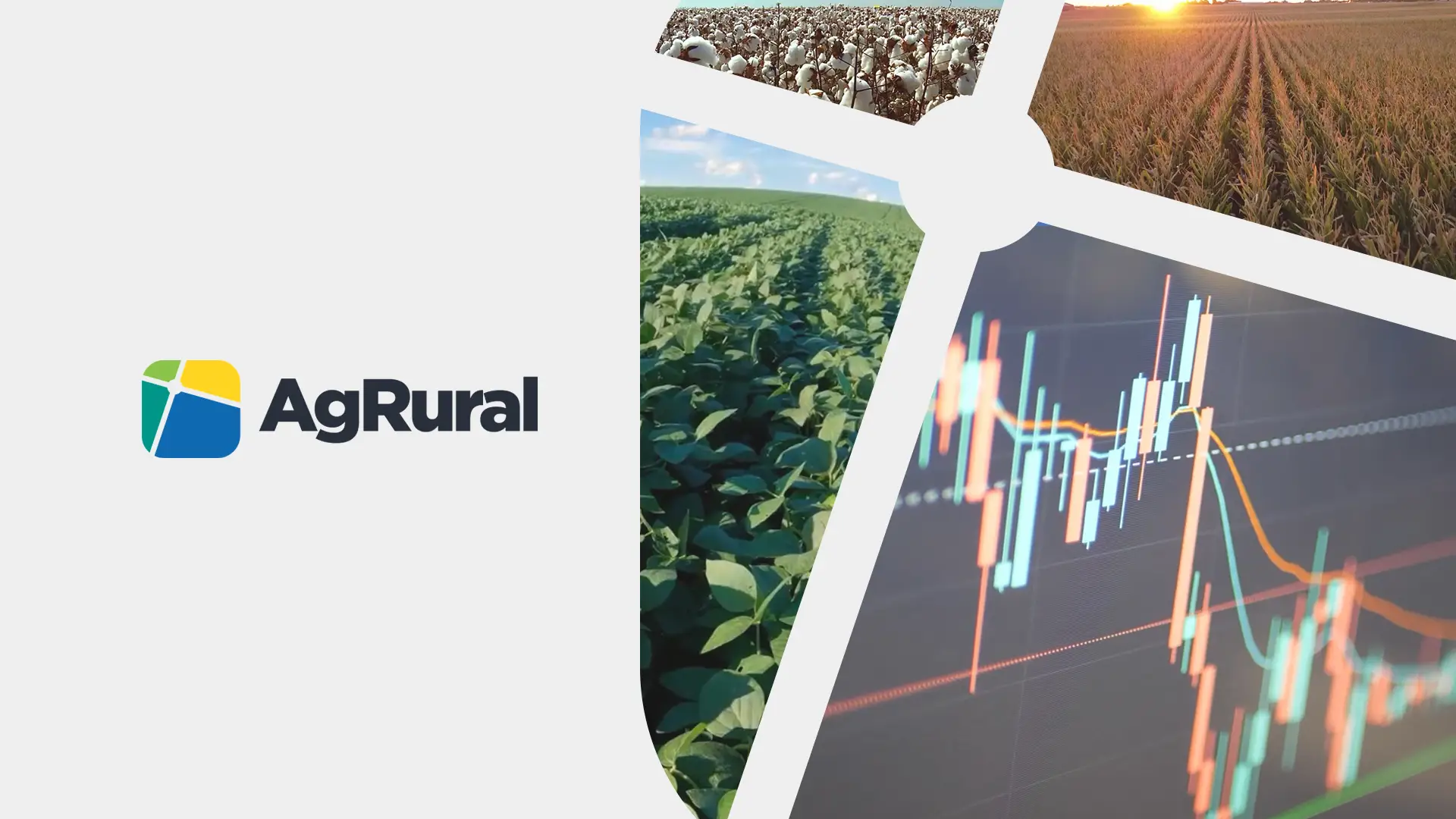 SAFRINHA CORN - AgRural